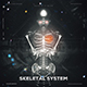 Skeletal System Cover Art, Web Elements | GraphicRiver