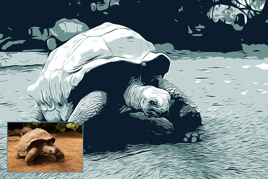 Photo to Vector Converter, Add-ons | GraphicRiver