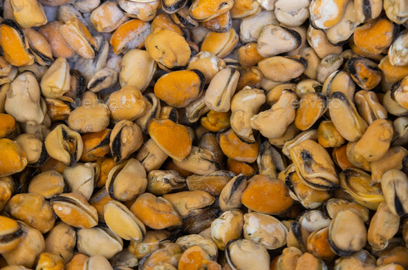 Edible, saltwater mussels, marine molluscs with no shell background ...
