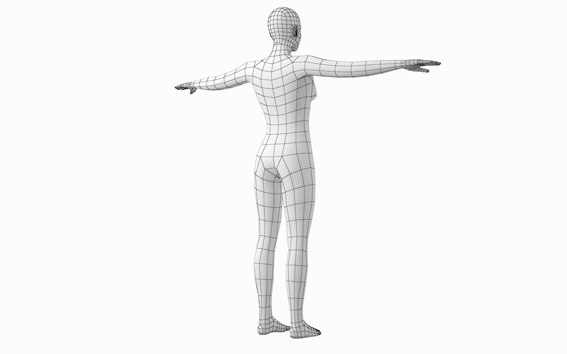 Natural Female in T-Pose Base Mesh by valeriik | 3DOcean