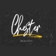 Chester Brush, Fonts | GraphicRiver