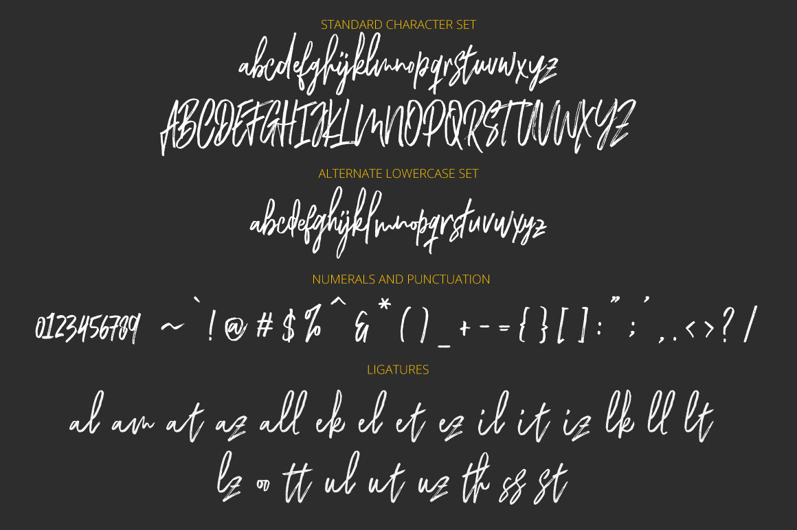 Chester Brush, Fonts | GraphicRiver