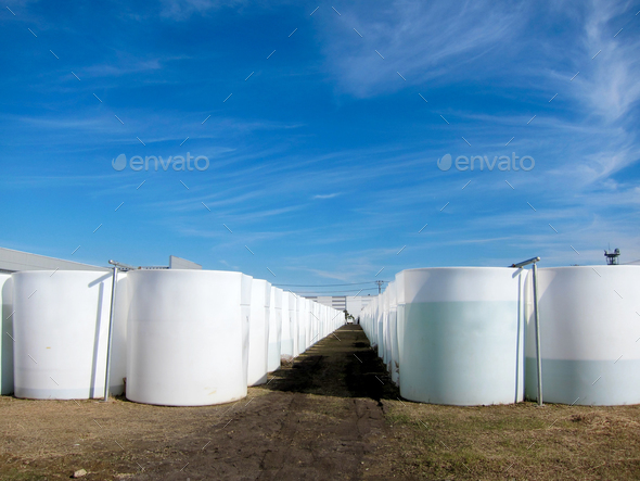 White storage tank against blue sky Stock Photo by eelinstudio | PhotoDune