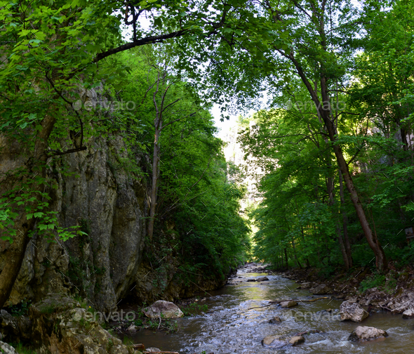 Breathtaking view of Varghis Gorges with beautiful greenery in Romania ...