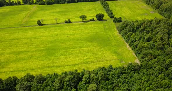 Aerial shot of a lush prairie grassland., Stock Footage | VideoHive