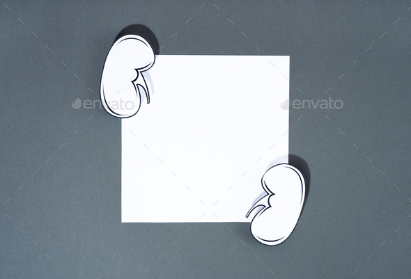 Concept World kidney day, handcraft paper white kidneys on gray ...