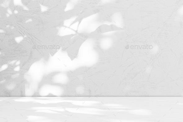 Background Shadow Studio Room,Light White Gray Overlay Leaf Loft Table ...