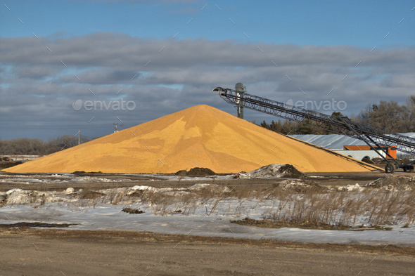 Midwest USA sees a lot of ground storage of corn Stock Photo by ronm19