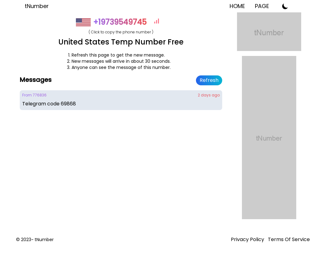 tNumber - Temp SMS Receiving System - [Next.js React Web Application] by Stacktix
