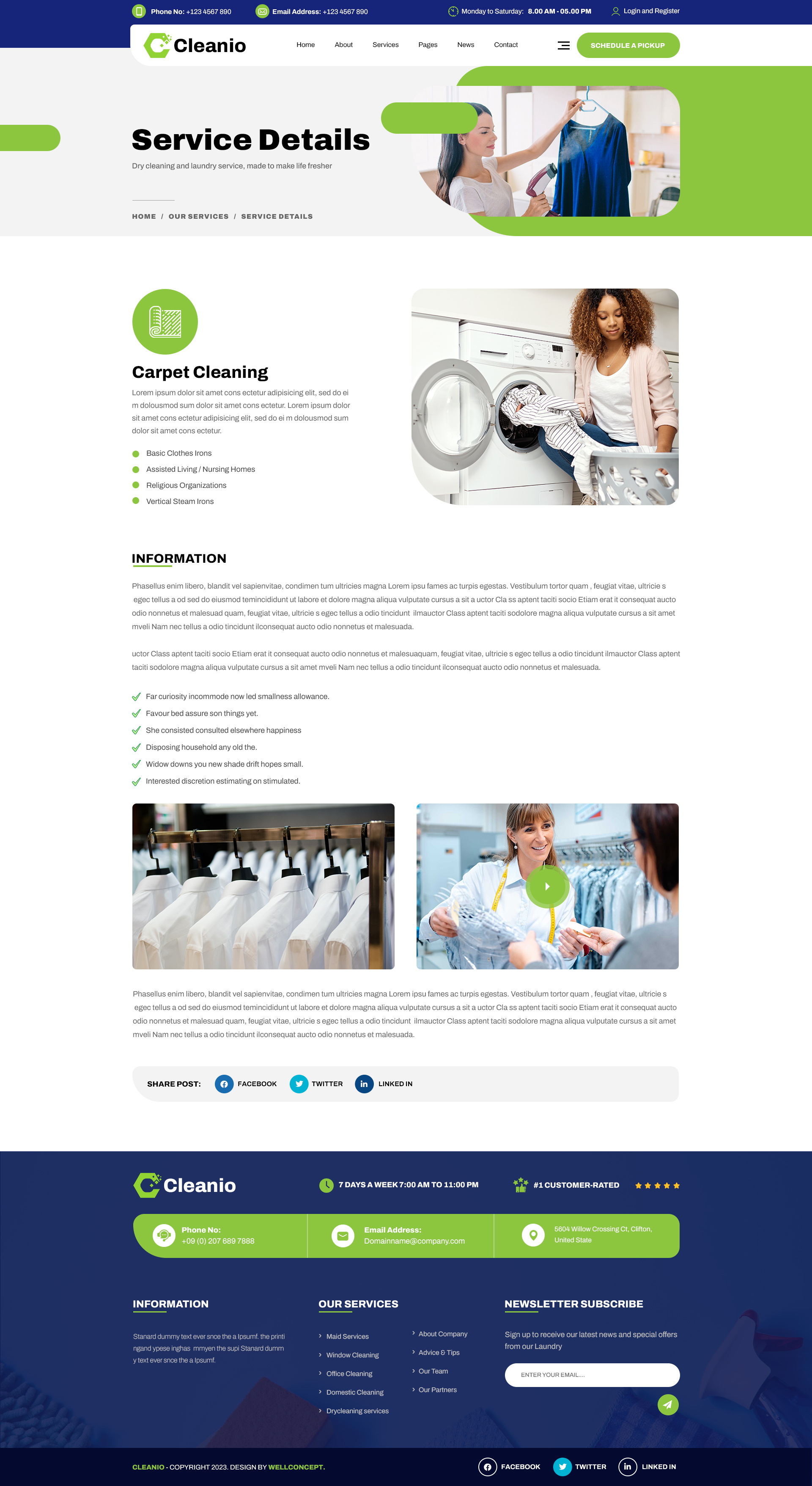 Cleanio - Laundry And Cleaning Service PSD Template by wellconcept