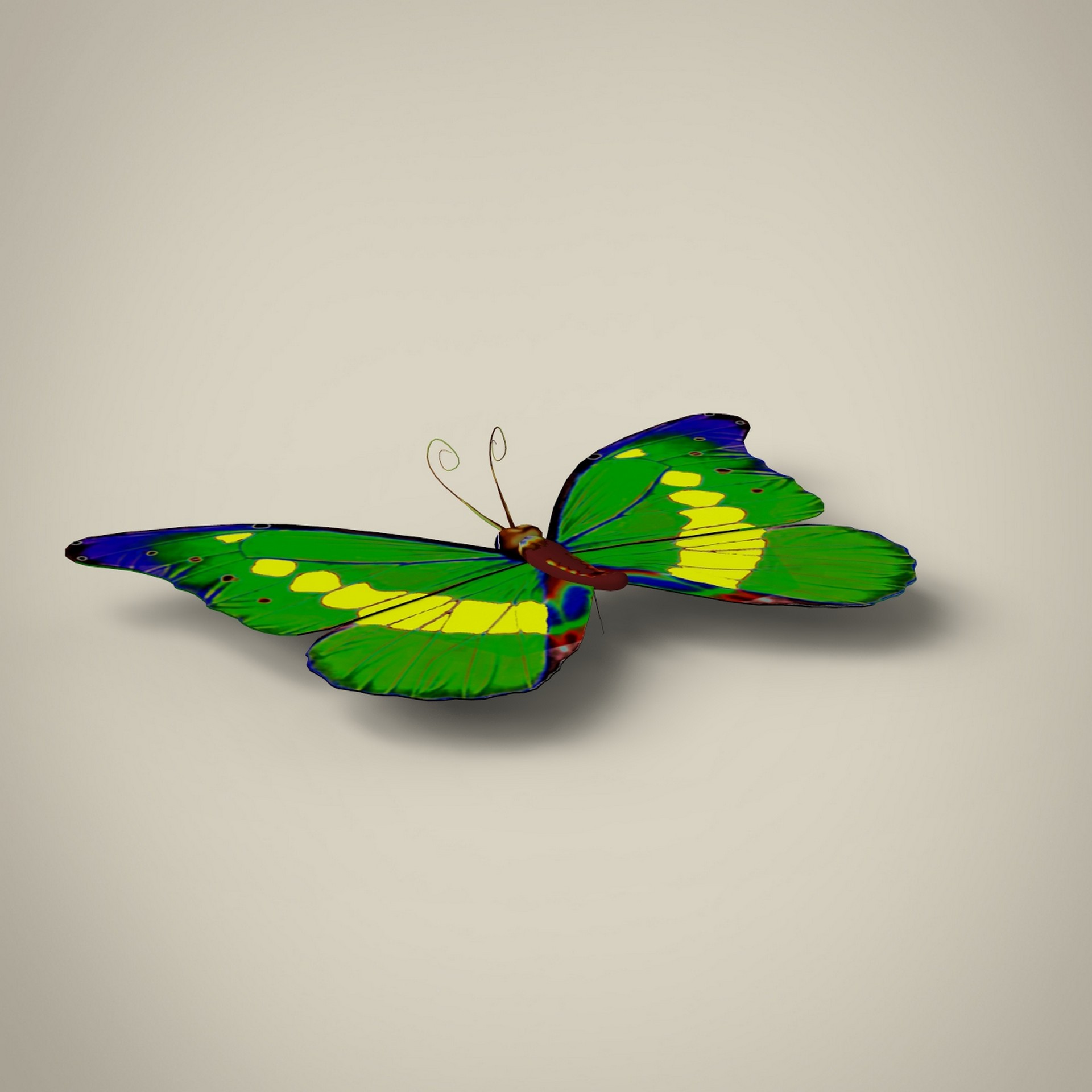 Butterfly by deepocean3d | 3DOcean