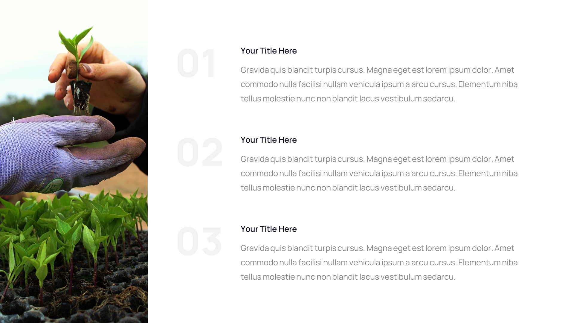 Ecoways - Sustainability Ecology PowerPoint Template, Presentation ...