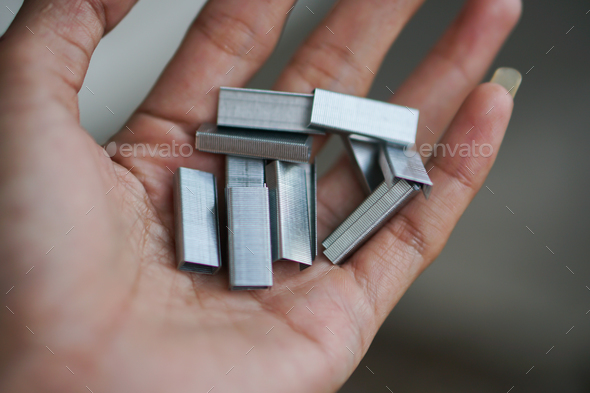 Metal staple for stapler Stock Photo by Wdnld | PhotoDune