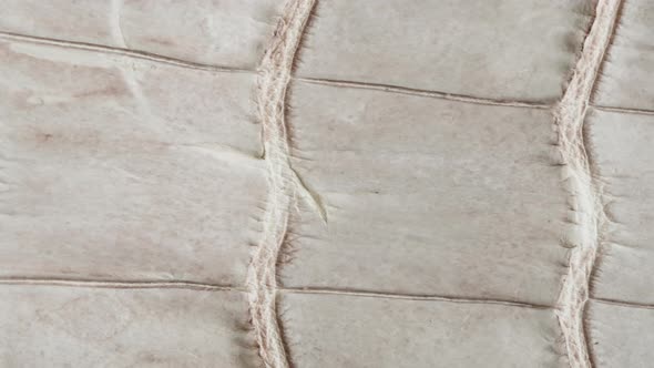 White Snake Leather Closeup Production of Handmade Accessories Made of ...
