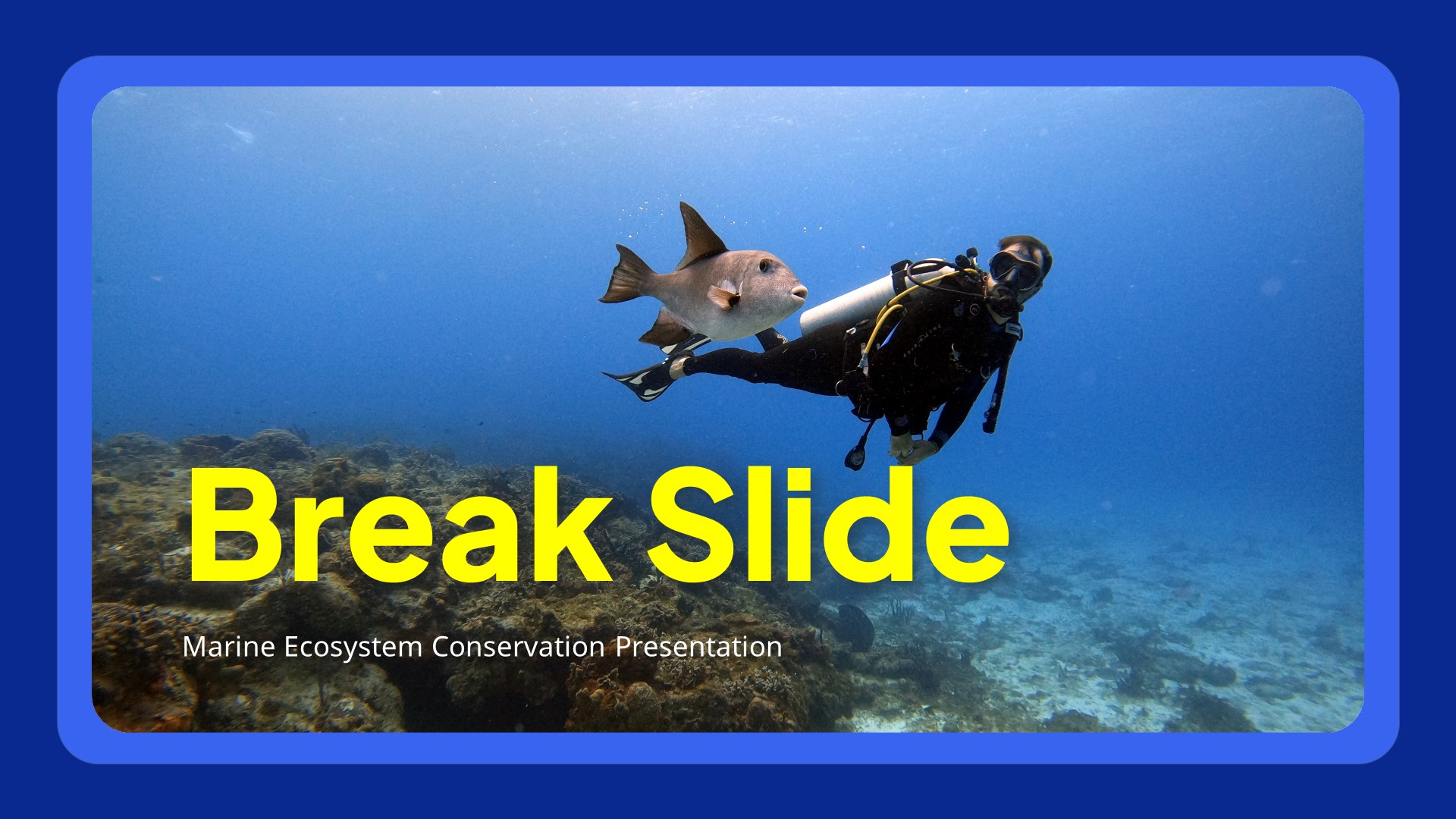 Aqualogy - Marine Ecosystem Conservation PowerPoint Template ...