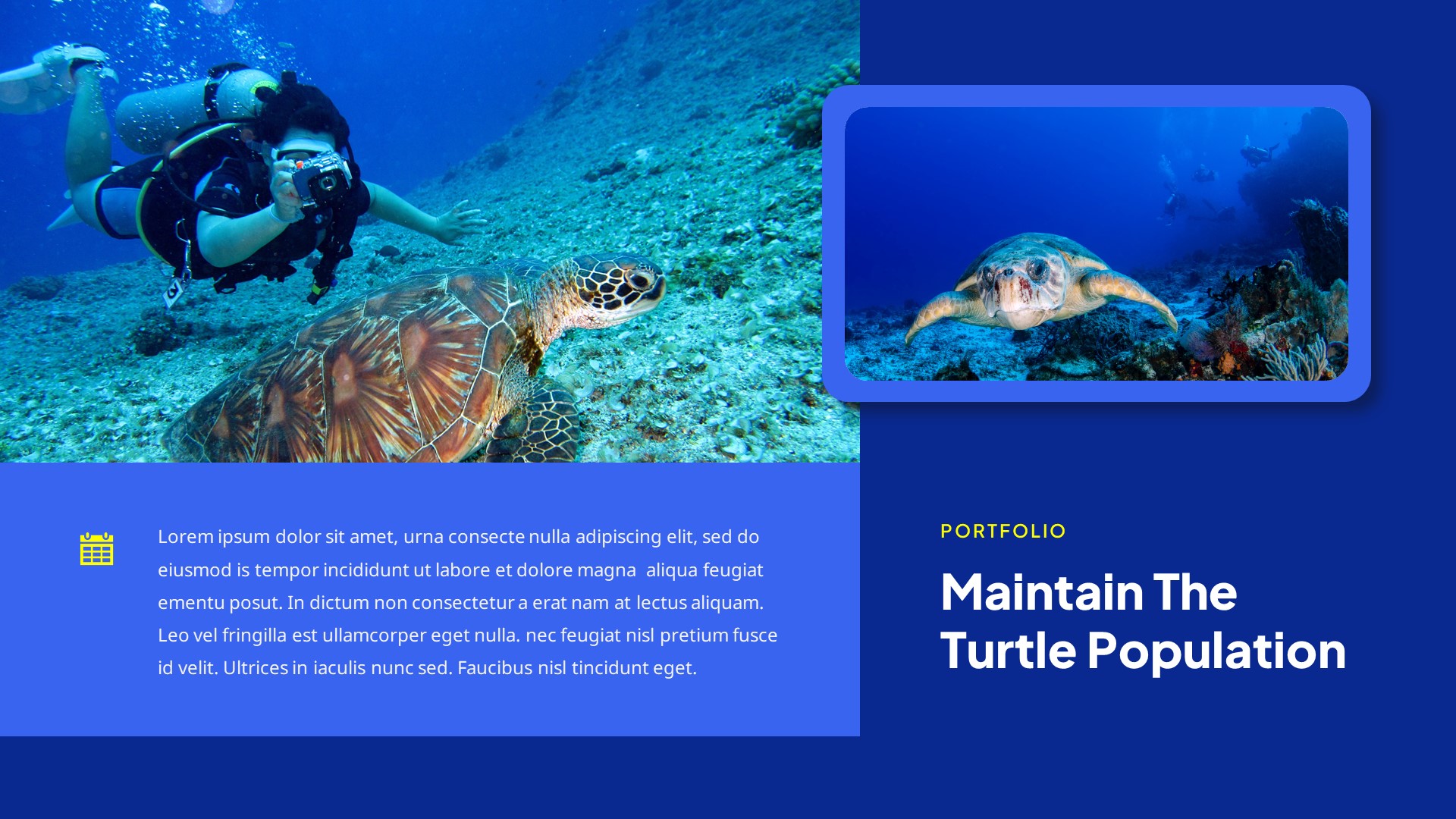 Aqualogy - Marine Ecosystem Conservation PowerPoint Template ...