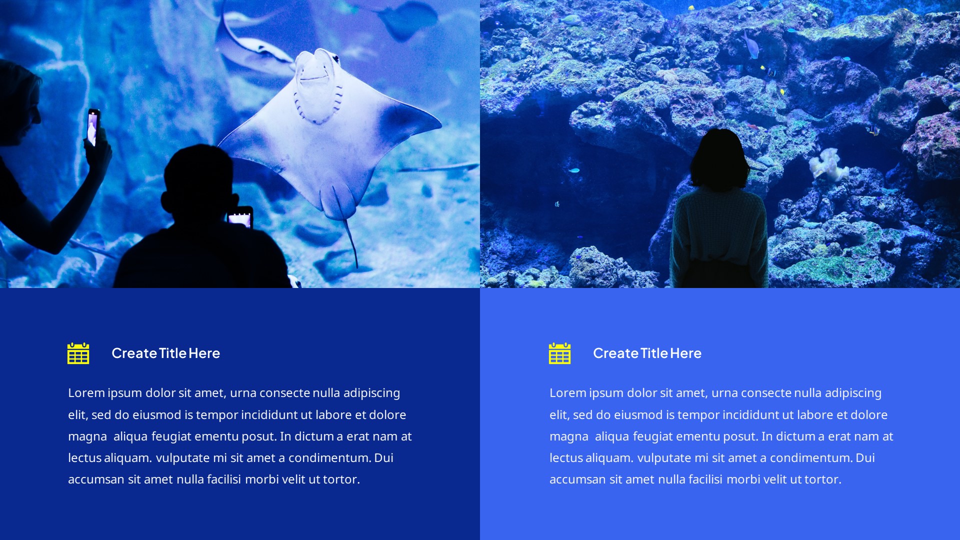 Aqualogy - Marine Ecosystem Conservation PowerPoint Template ...