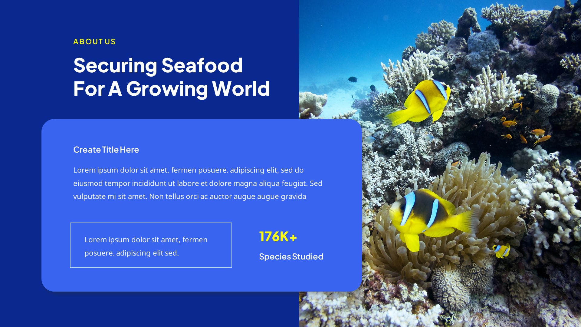 Aqualogy - Marine Ecosystem Conservation PowerPoint Template ...