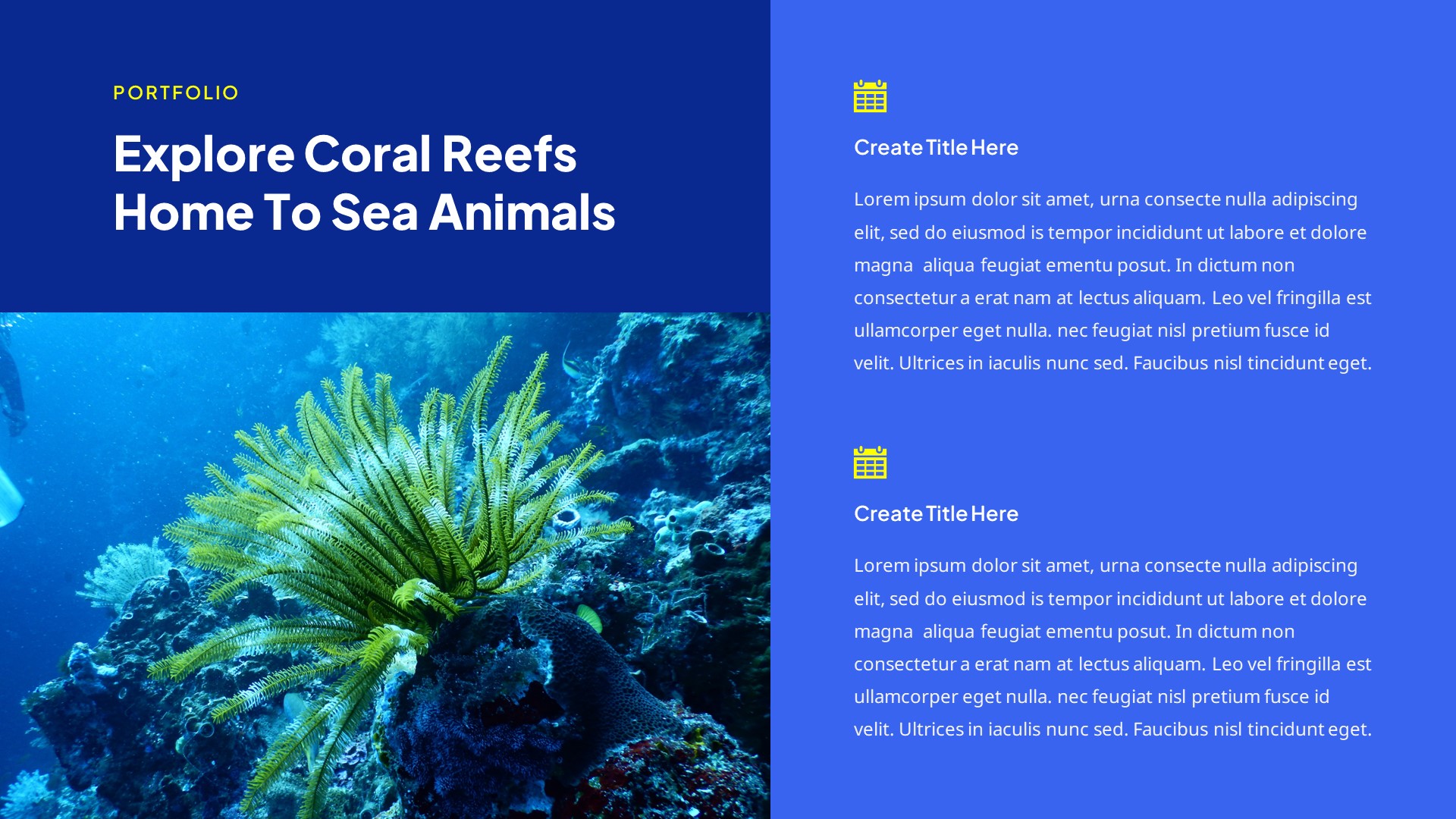 Aqualogy - Marine Ecosystem Conservation Google Slides Template ...