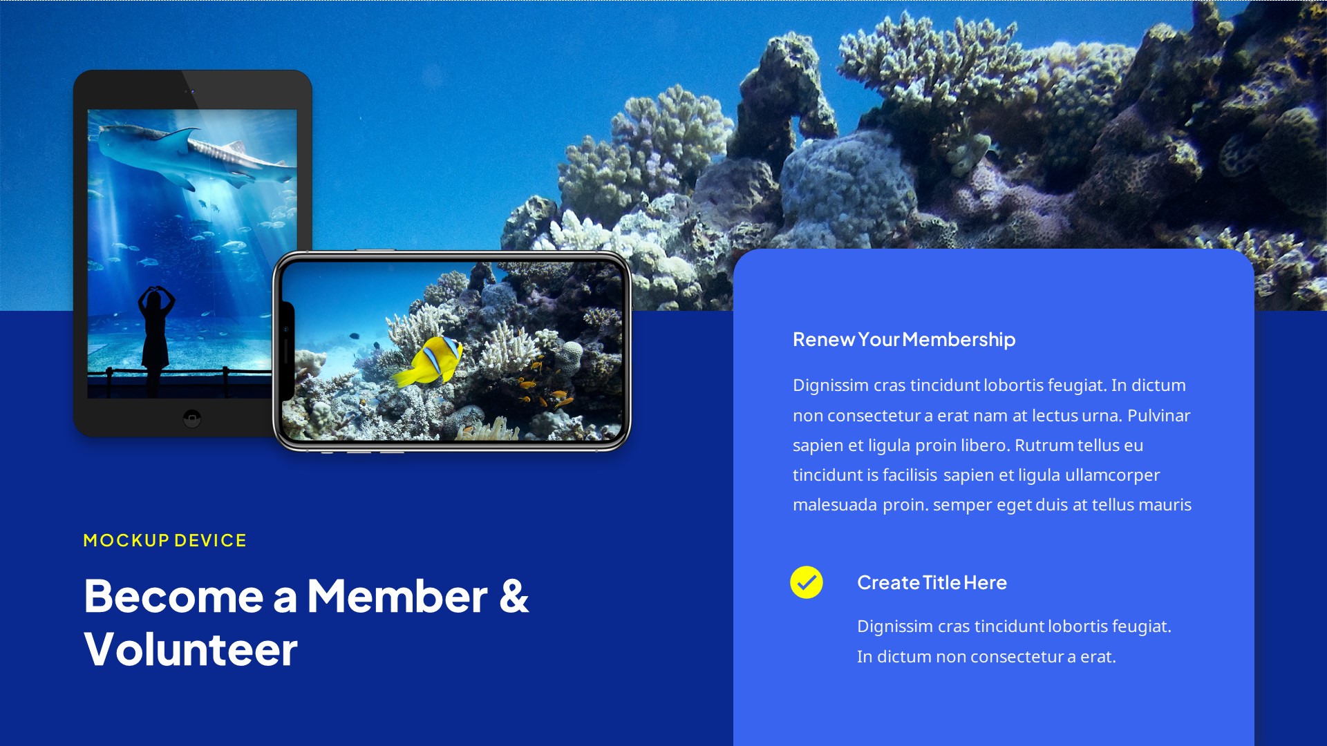 Aqualogy - Marine Ecosystem Conservation Google Slides Template ...