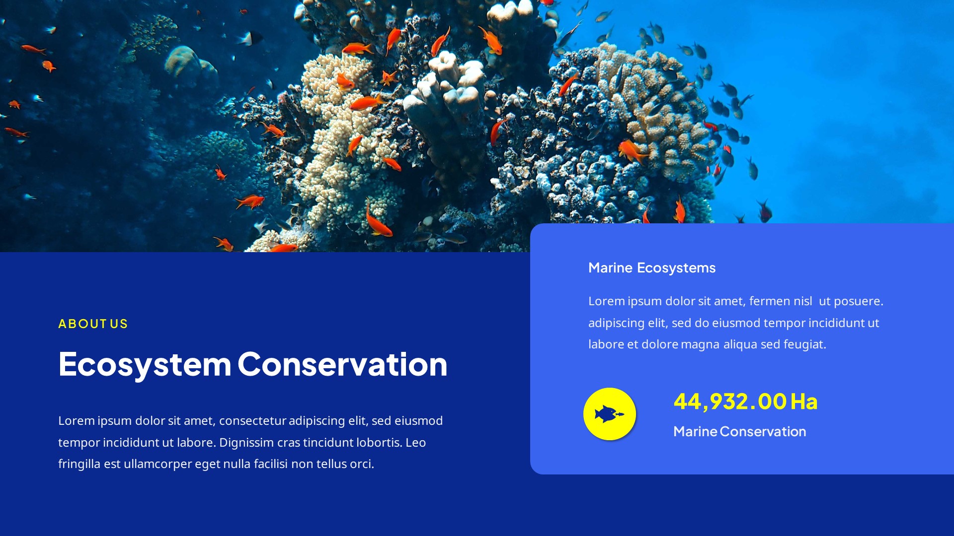 Aqualogy - Marine Ecosystem Conservation Google Slides Template ...