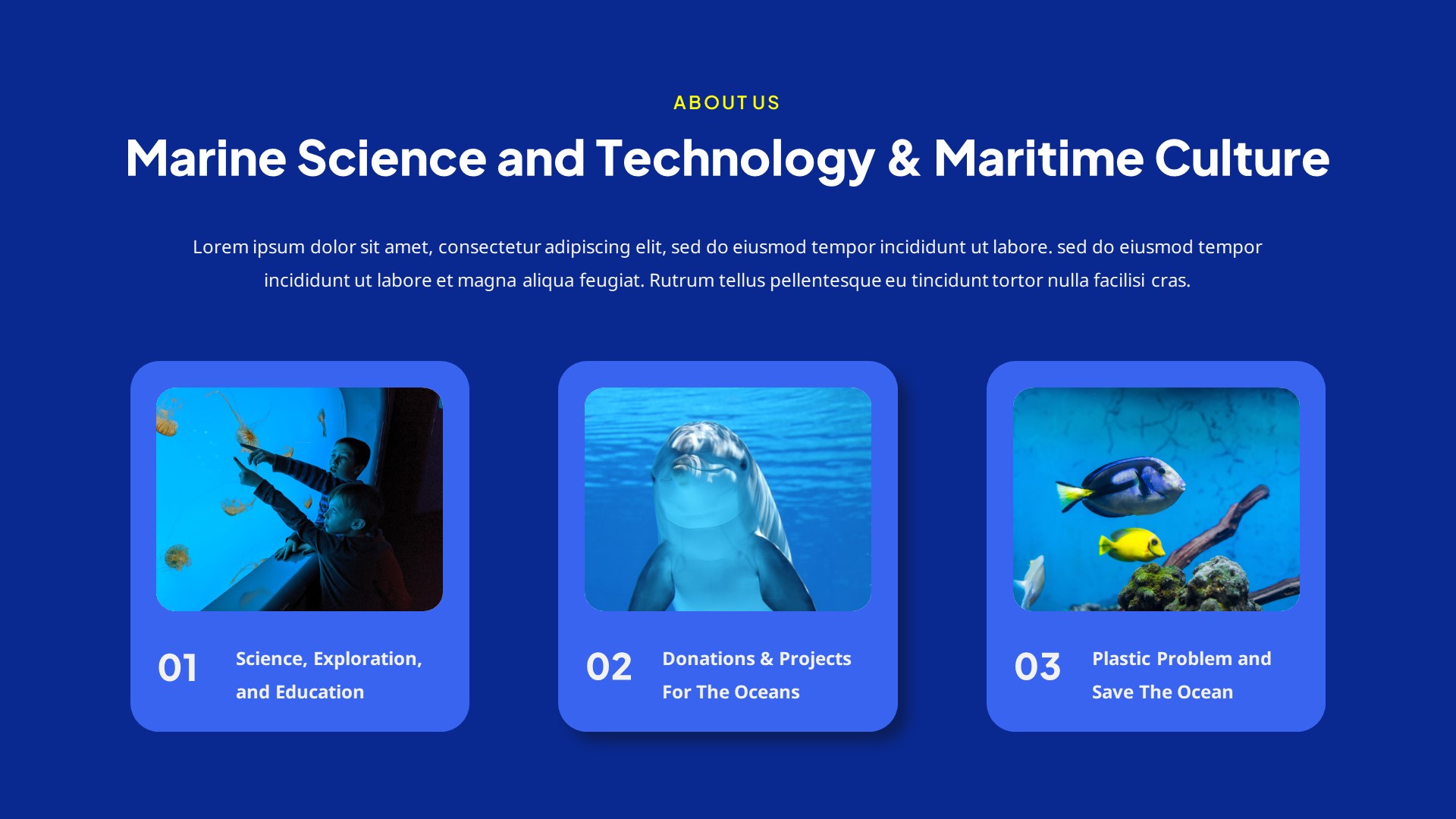 Aqualogy - Marine Ecosystem Conservation Google Slides Template ...