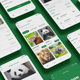 Animal Zoo, Wildlife Park, Zoological Garden App Design template, Web ...