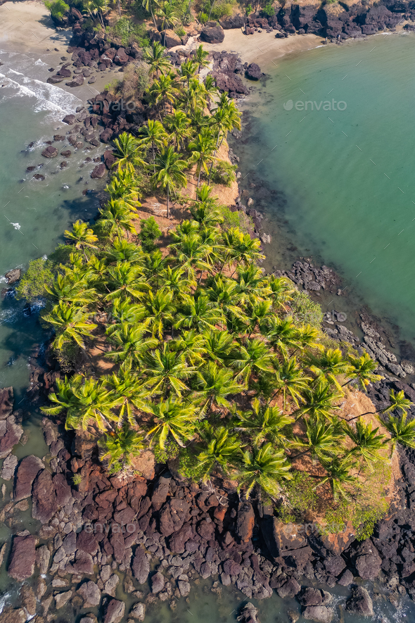 Aerial top view on tropical beach with green palm trees under sunlight ...