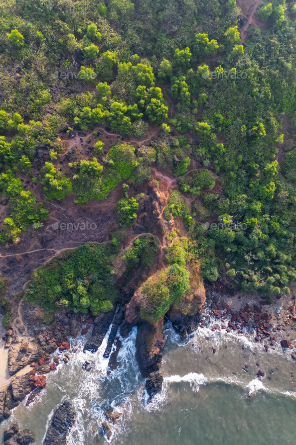 Aerial top view on tropical beach with green palm trees under sunlight ...