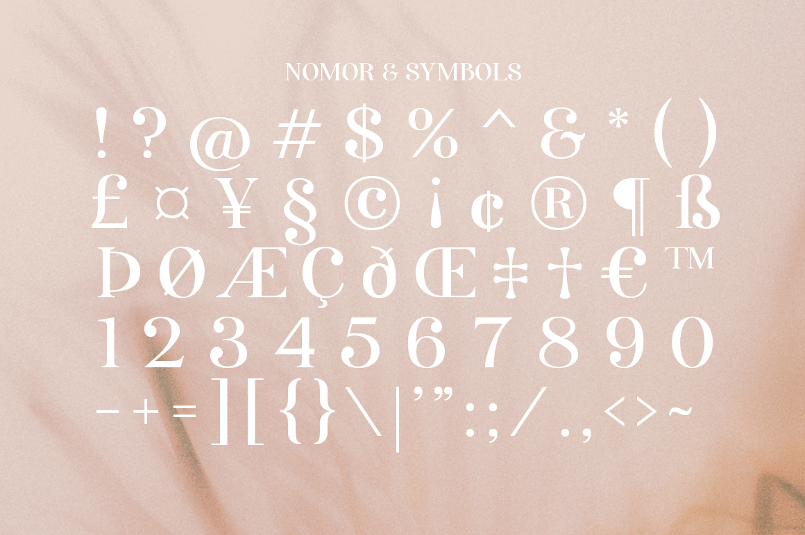 Anggie Display, Fonts | GraphicRiver