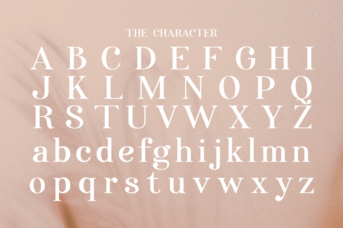 Anggie Display, Fonts | GraphicRiver