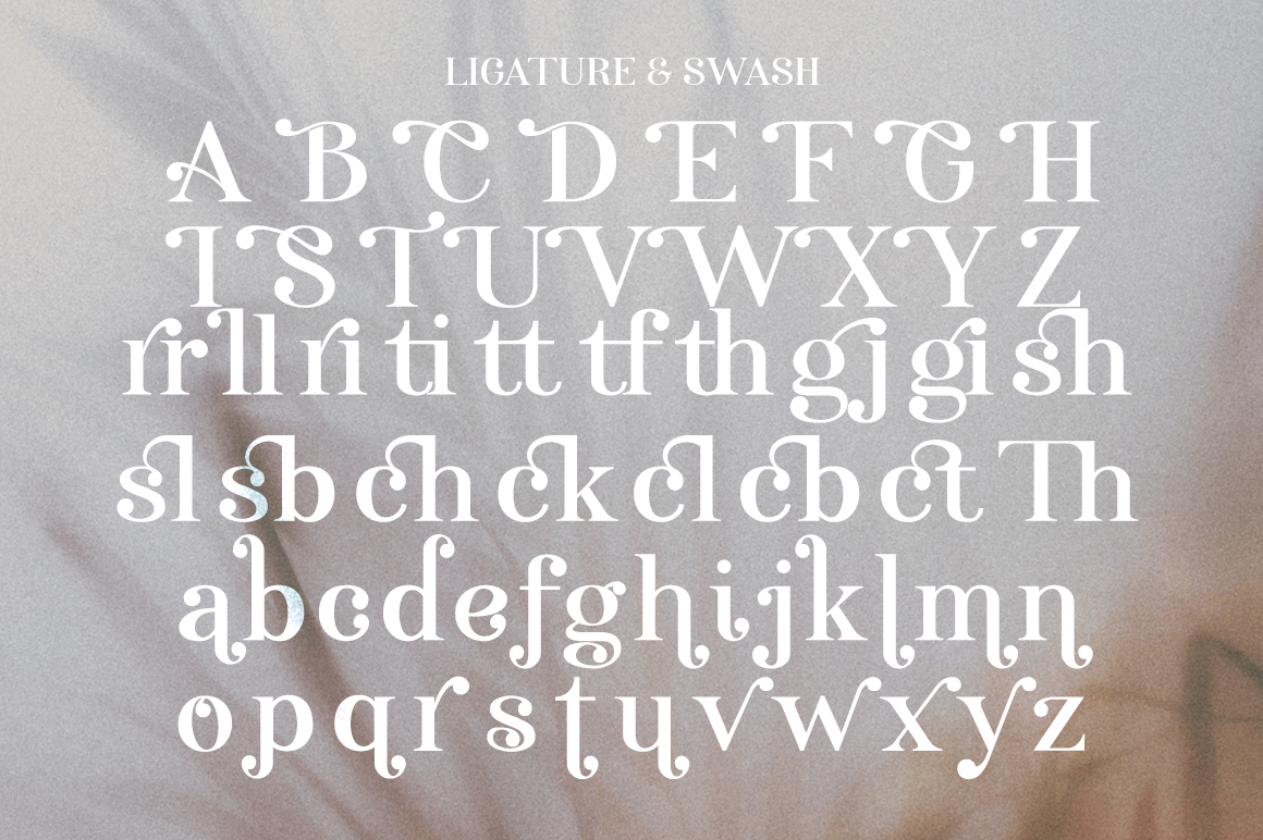 Anggie Display, Fonts | GraphicRiver