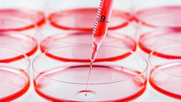 Science and Biotechnology, Laboratory Research, Cell Culture. Cells ...