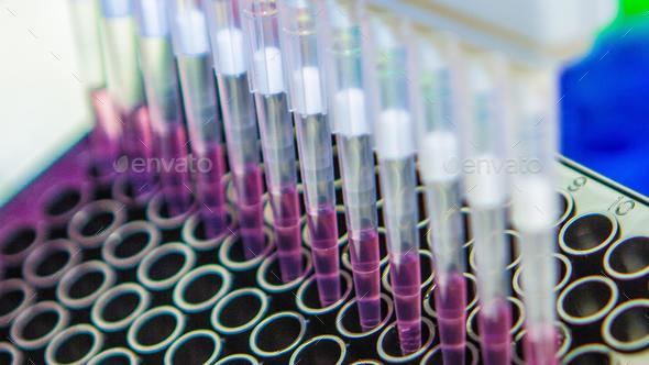 Science and Biotechnology, Laboratory Research, Cell Culture. Cells ...