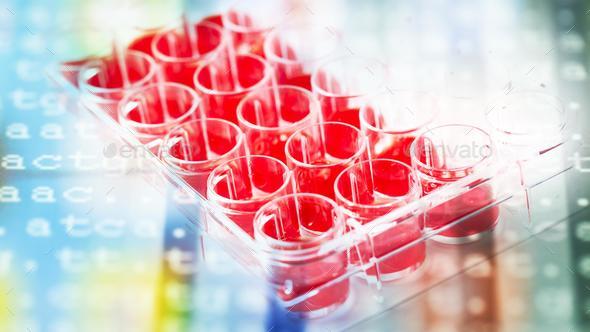 Science and Biotechnology, Laboratory Research, Cell Culture. Cells ...