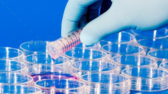 Science and Biotechnology, Laboratory Research, Cell Culture. Cells ...