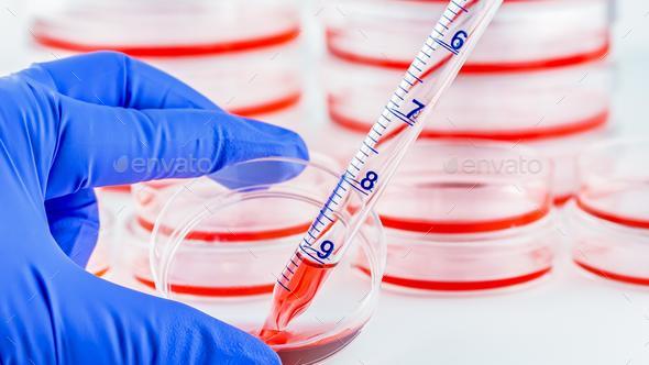 Science and Biotechnology, Laboratory Research, Cell Culture. Cells ...