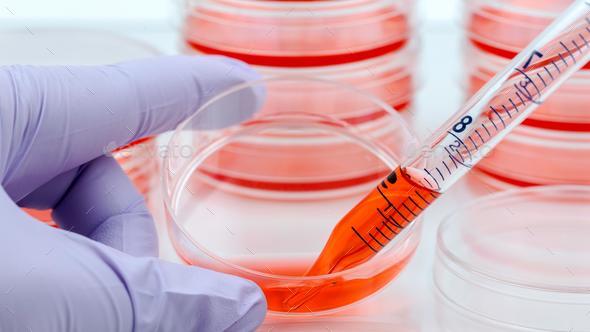 Science and Biotechnology, Laboratory Research, Cell Culture. Cells ...