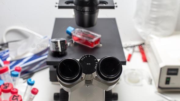 Science and Biotechnology, Laboratory Research, Cell Culture. Cells ...