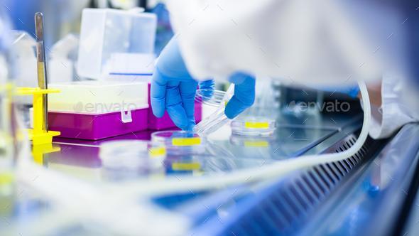 Science and Biotechnology, Laboratory Research, Cell Culture. Cells ...