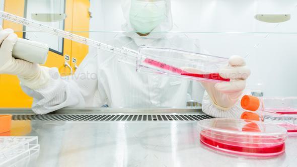 Science and Biotechnology, Laboratory Research, Cell Culture. Cells ...