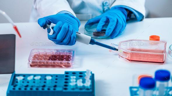 Science and Biotechnology, Laboratory Research, Cell Culture. Cells ...