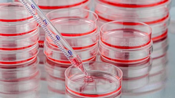 Science and Biotechnology, Laboratory Research, Cell Culture. Cells ...