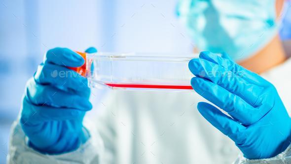 Science and Biotechnology, Laboratory Research, Cell Culture. Cells ...