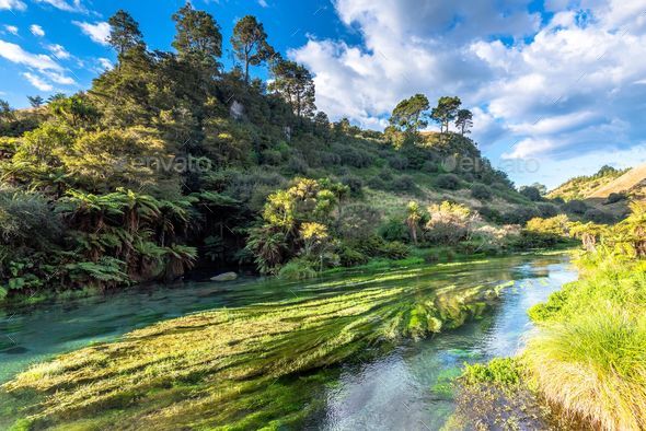 Beautiful landscape of the blue spring Putaruru, North Island, New ...