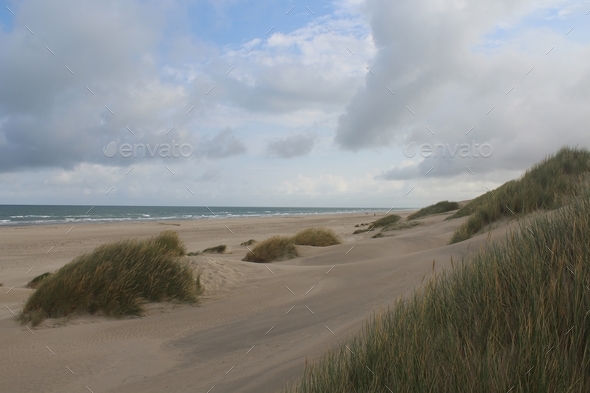 Ocean shore with Marram grass and slippery sand dunes on a cloudy day ...