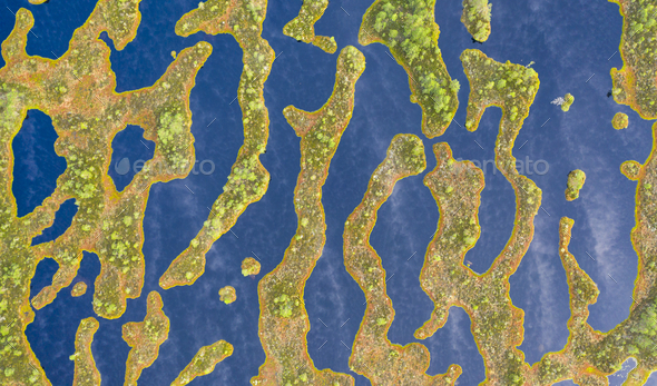 View to the complex pattern of peat bog pools and intermediate ridges ...