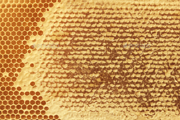 Background texture and pattern of a section of wax honeycomb fro Stock ...