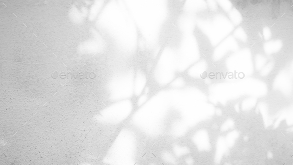 Shadow Spring on Wall Background,Abstract Overlay Shady Soft Exterior ...