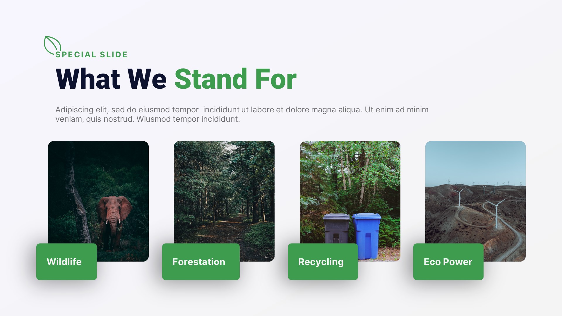 Envico - Environment & Ecology Keynote Template, Presentation Templates